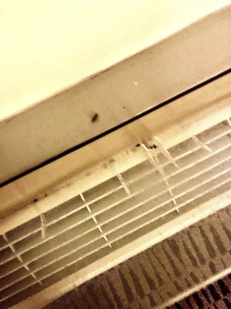 MAINSTAY SUITES RALEIGH - CARY - Updated December 2025 - 1020 Buck ...