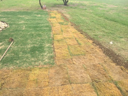 KING RANCH TURFGRASS - Updated December 2025 - 26 Photos & 65 Reviews ...