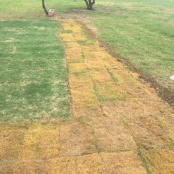 KING RANCH TURFGRASS - 26 Photos & 57 Reviews - Austin, Texas ...