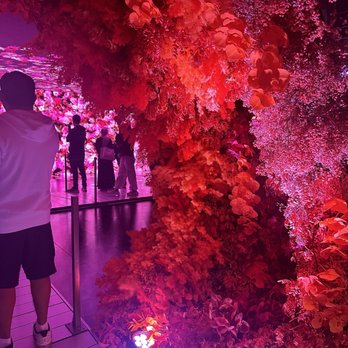 GENESIS HOUSE - Updated July 2024 - 787 Photos & 134 Reviews - 40A 10th ...