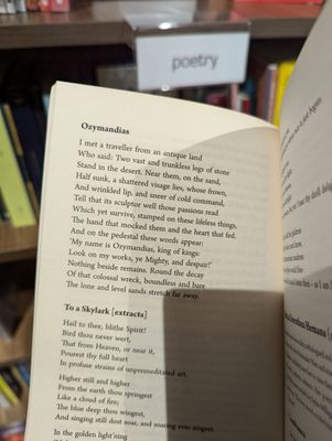 FULLY BOOKED - Updated July 2025 - 51 Photos & 29 Reviews - Bonifacio ...