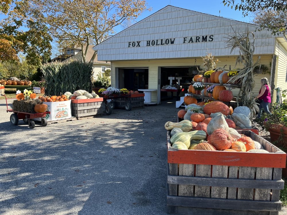 ROTTKAMP’S FOX HOLLOW FARM STAND - Updated December 2025 - 49 Photos ...