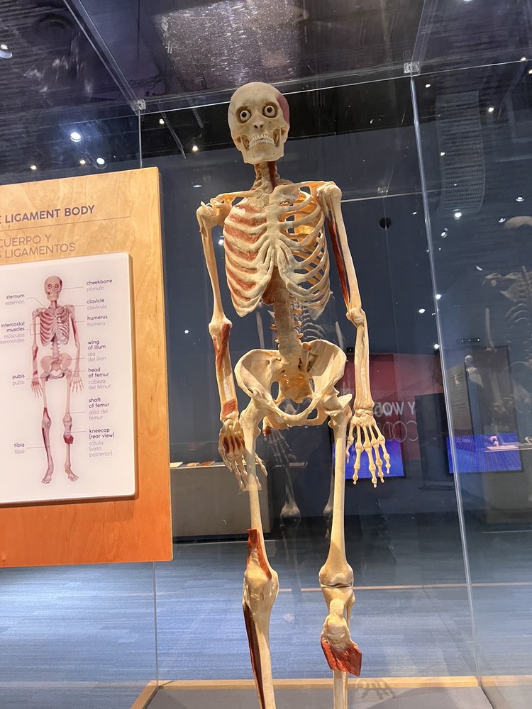 THE TECH INTERACTIVE - 1337 Photos & 715 Reviews - 201 S Market St, San ...