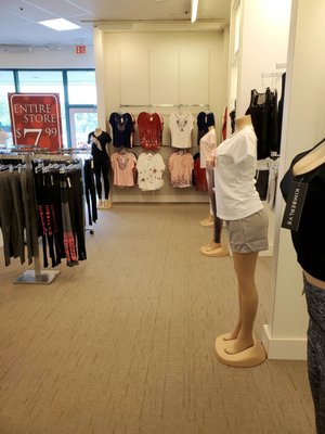 SUNELLI - Updated February 2025 - 2700 State Rd 16, St. Augustine ...