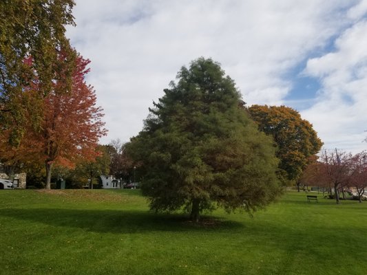 LAKE GENEVA PUBLIC LIBRARY - Updated May 2026 - 29 Photos & 17 Reviews ...