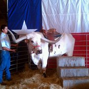 CIRCLE R RANCH - 49 Photos & 16 Reviews - 5901 Cross Timbers Rd, Flower ...