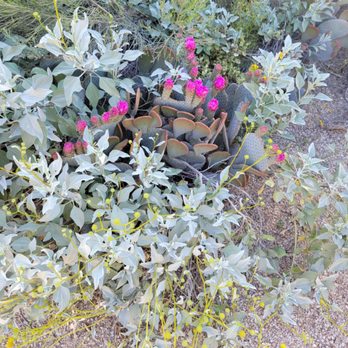 RIPARIAN PRESERVE AT WATER RANCH - Updated August 2025 - 737 Photos ...