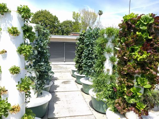 CHANDLER CAFE - CALTECH - Updated October 2025 - 15 Photos & 11 Reviews ...