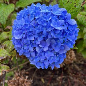 BUSH NECK FARM - Updated April 2024 - 14 Photos - 1502 Bush Neck Rd ...