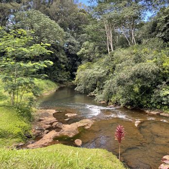 WAI KOA LOOP TRAIL - Updated October 2025 - 180 Photos & 42 Reviews - 5 ...