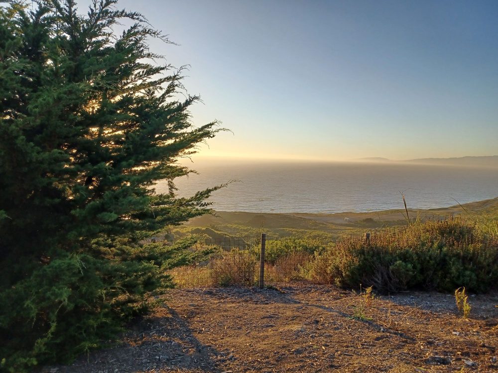 LONGVIEW PARK - Updated December 2025 - 47 Longview Dr, Daly City ...