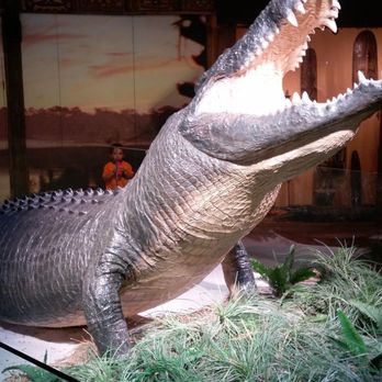 ST. AUGUSTINE ALLIGATOR FARM ZOOLOGICAL PARK - Updated September 2025 ...