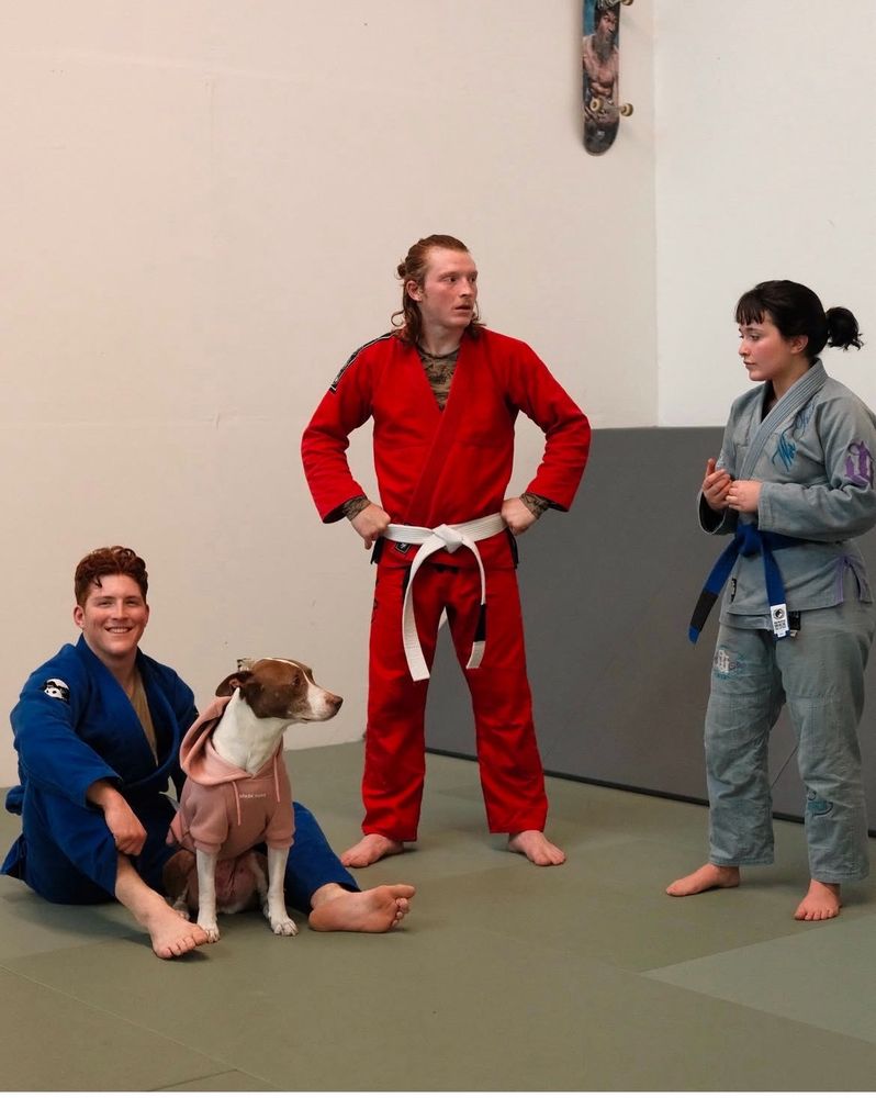 ALLGROUND JIU JITSU - Updated April 2026 - 5635 Riggins Ct, Reno ...