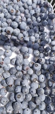 LYON FARMS - Updated August 2024 - 34 Photos & 18 Reviews - 1544 Munn ...