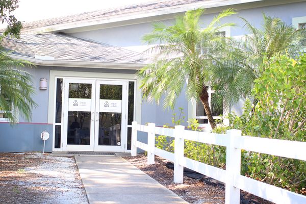 SPCA TAMPA BAY - Updated August 2024 - 40 Photos & 36 Reviews - 9099 ...