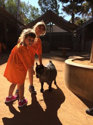 GROW SMART CHILDREN’S ACADEMY - Updated June 2026 - 30 Photos & 23 ...