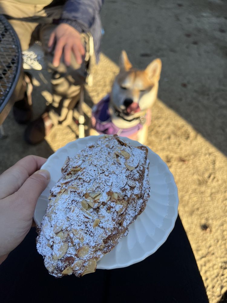 CAFE XOCHI - Updated January 2026 - 136 Photos & 121 Reviews - 1038 E ...