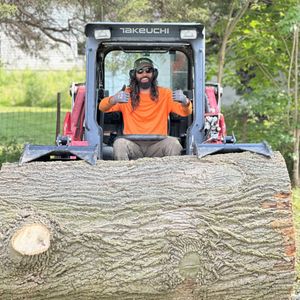 LEWIS TREE SERVICE - Updated August 2025 - 21 Photos & 30 Reviews - 300 ...