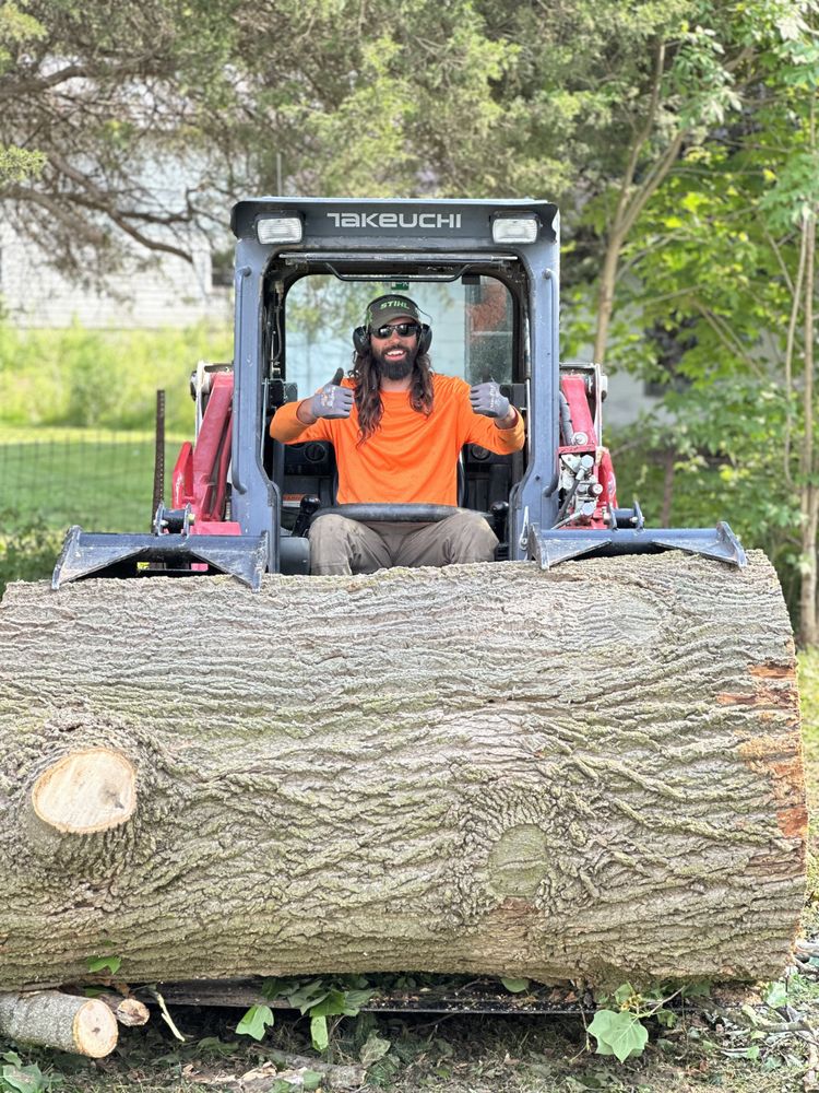 REM TREE SERVICE - 32 Photos - Bloomfield , New York - Tree Services ...