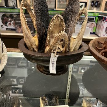 THE EVOLUTION STORE - Updated October 2025 - 325 Photos & 193 Reviews ...