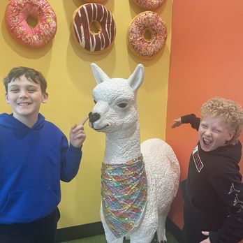 SUGAR LLAMAS - Updated July 2024 - 39 Photos & 27 Reviews - 242 Rufe ...