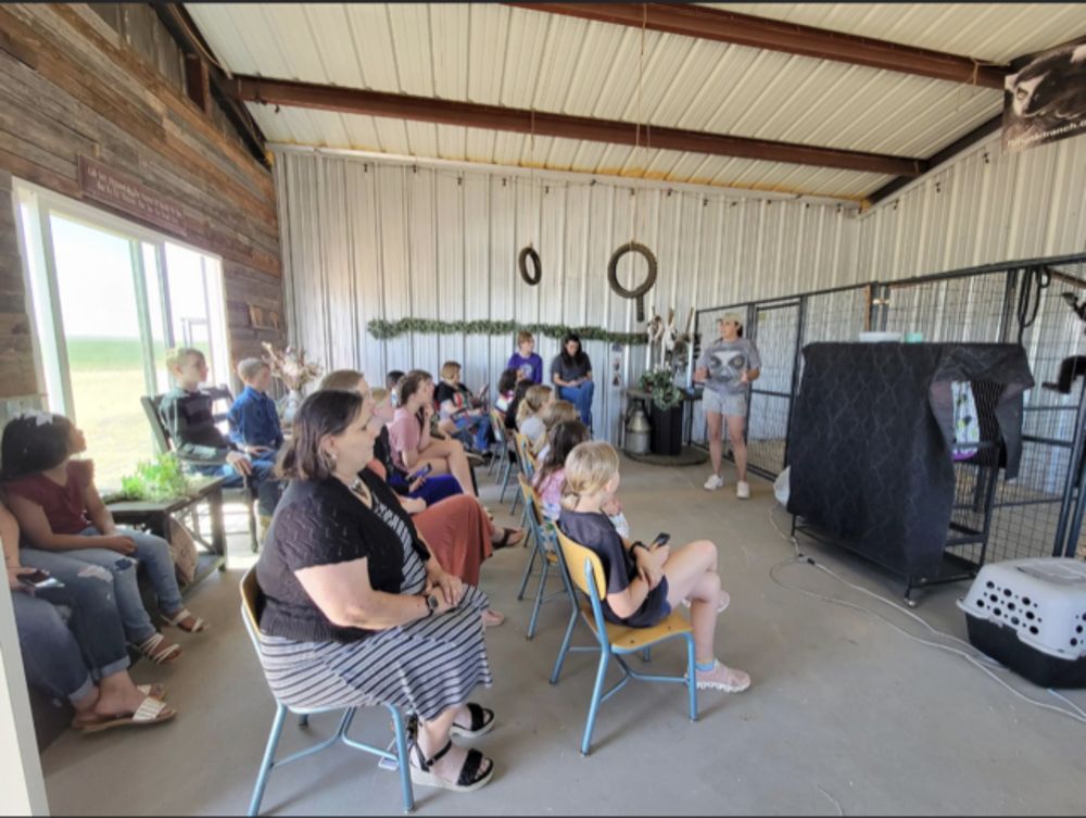 RINGTAIL RANCH LEMUR RESCUE - TEMP. CLOSED - Updated July 2025 - 25 ...