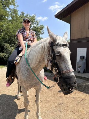 MEMORY LANE STABLES - Updated October 2025 - 168 Photos & 124 Reviews ...