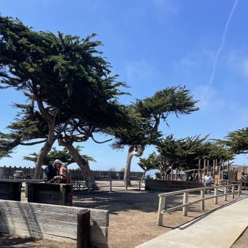 SHAMEL PARK - Updated January 2026 - 124 Photos & 32 Reviews - 5455 ...