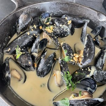 MUSSEL BAR & GRILLE - ARLINGTON - Updated December 2024 - 737 Photos ...