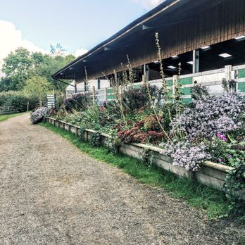 BOCKETTS FARM PARK - Updated October 2025 - 16 Photos & 12 Reviews ...