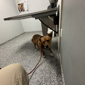 PET CURE VETERINARY CENTER - Updated May 2024 - Yelp