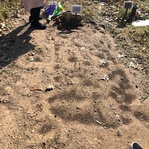 ASSUMPTION CEMETERY - CHAPEL & MAUSOLEUM - 54 Photos & 18 Reviews ...