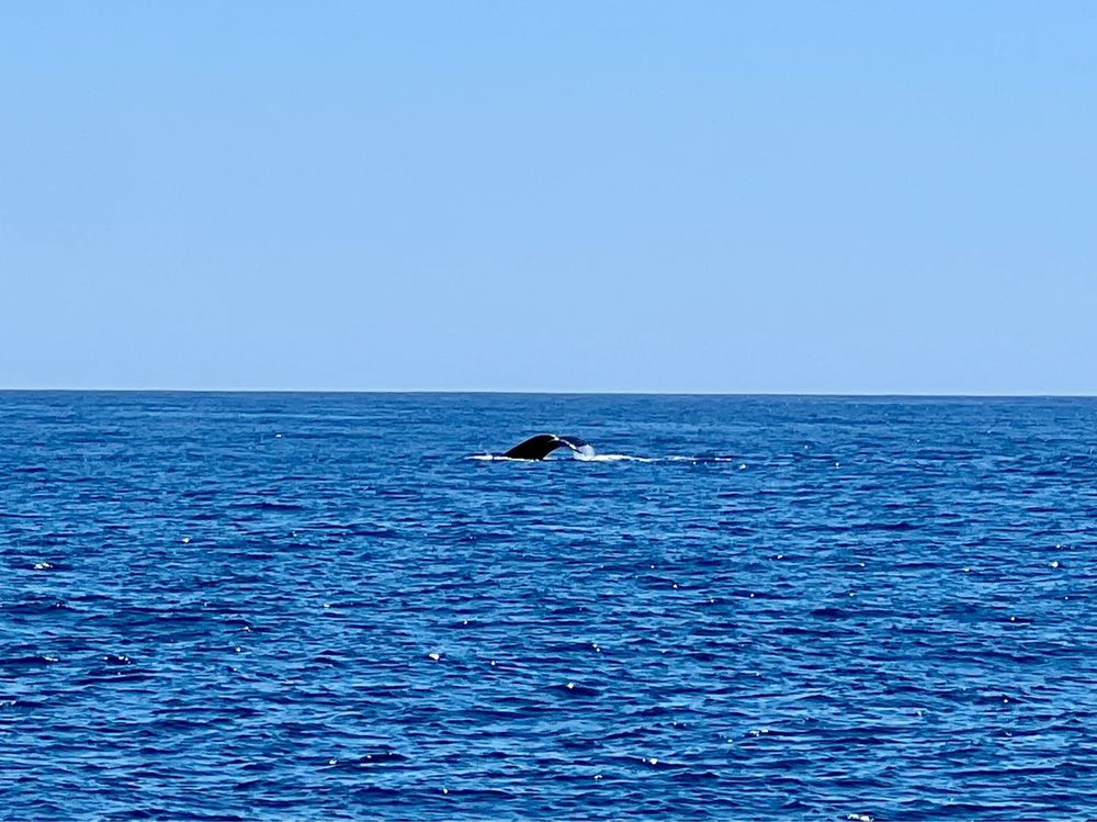 BLUE SKY CABO - Updated September 2025 - 65 Photos & 20 Reviews - Cabo ...