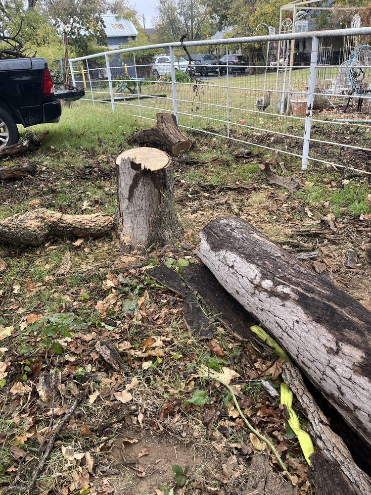 THE TREE BUTCHERS - Updated March 2025 - Request a Quote - Roanoke ...