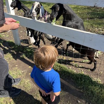 RUSTIC ROAD FARM - Updated December 2025 - 70 Photos & 22 Reviews ...