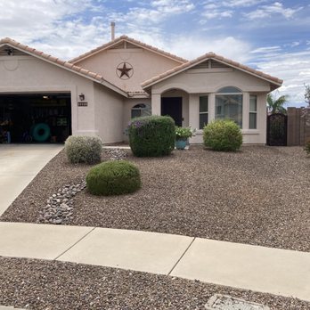 TREE MONKEY TREE TRIMMING - Updated July 2024 - 51 Photos & 55 Reviews ...