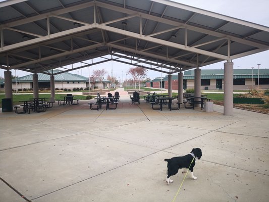 DIXON HIGH SCHOOL - Updated November 2024 - 32 Photos - 555 College Way ... DIXON HIGH SCHOOL - Updated November 2024 - 32 Photos - 555 College Way ...