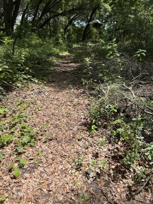 PEAR PARK - Updated January 2026 - 58 Photos & 10 Reviews - 26741 US-27 ...