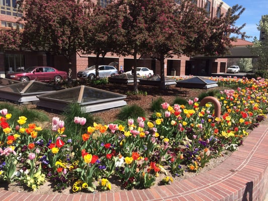 ST LUKE’S BOISE MEDICAL CENTER - Updated December 2025 - 83 Photos ...