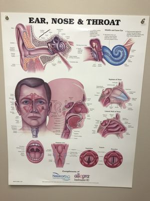 FELDMAN ENT GROUP - Updated December 2025 - 14 Reviews - 12850 ...