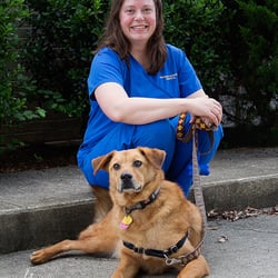 Best Veterinary Clinics Near Me - October 2024: Find Nearby Veterinary ...