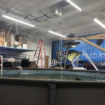 PREDATORY FINS - Updated December 2025 - 37 Photos & 11 Reviews - 750 ...