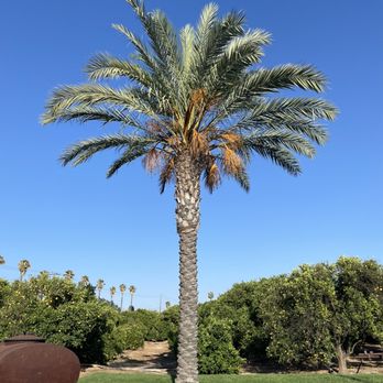 GLESS RANCH - Updated December 2025 - 389 Photos & 197 Reviews - 19985 ...