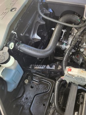 INFINITI OF LAS VEGAS - Updated July 2025 - 44 Photos & 264 Reviews ...