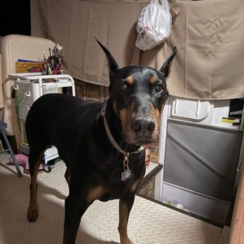 KINGMAN CRAFT HOUSE - Updated November 2025 - 52 Photos & 46 Reviews ...