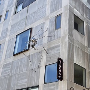 THE SHOPS AT ITHACA MALL - Updated April 2025 - 17 Photos & 29 Reviews ...