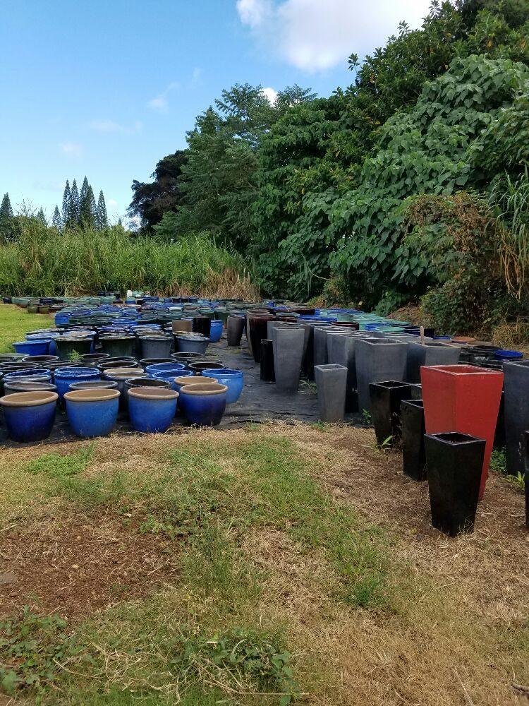 KO’OLAUPOKO POTTERY - Updated May 2026 - 41-726 Kumuhau St, Waimanalo ...