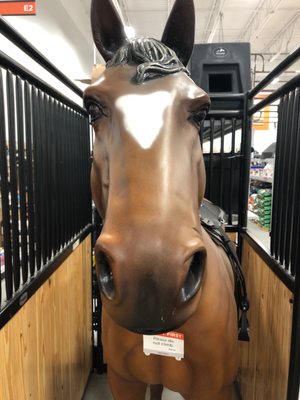 FLEET FARM - Updated December 2025 - 19 Reviews - 1555 Pabst Farms Blvd ...