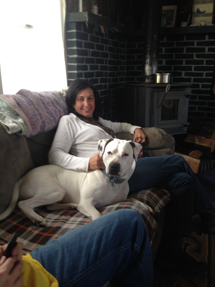 AUNT LU’S ANIMAL/HOUSE SITTING - 19 Photos - 4851 73rd St, La Mesa ...