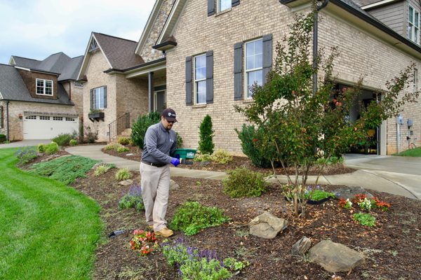 CLEARDEFENSE PEST CONTROL - Updated September 2025 - 35 Photos & 15 ...